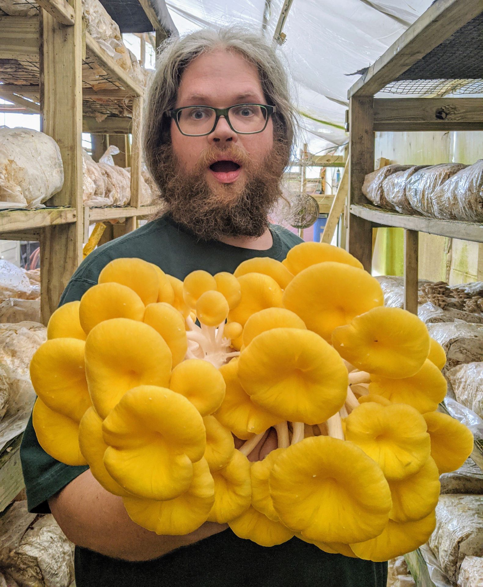 about-us | Mycophile's Garden