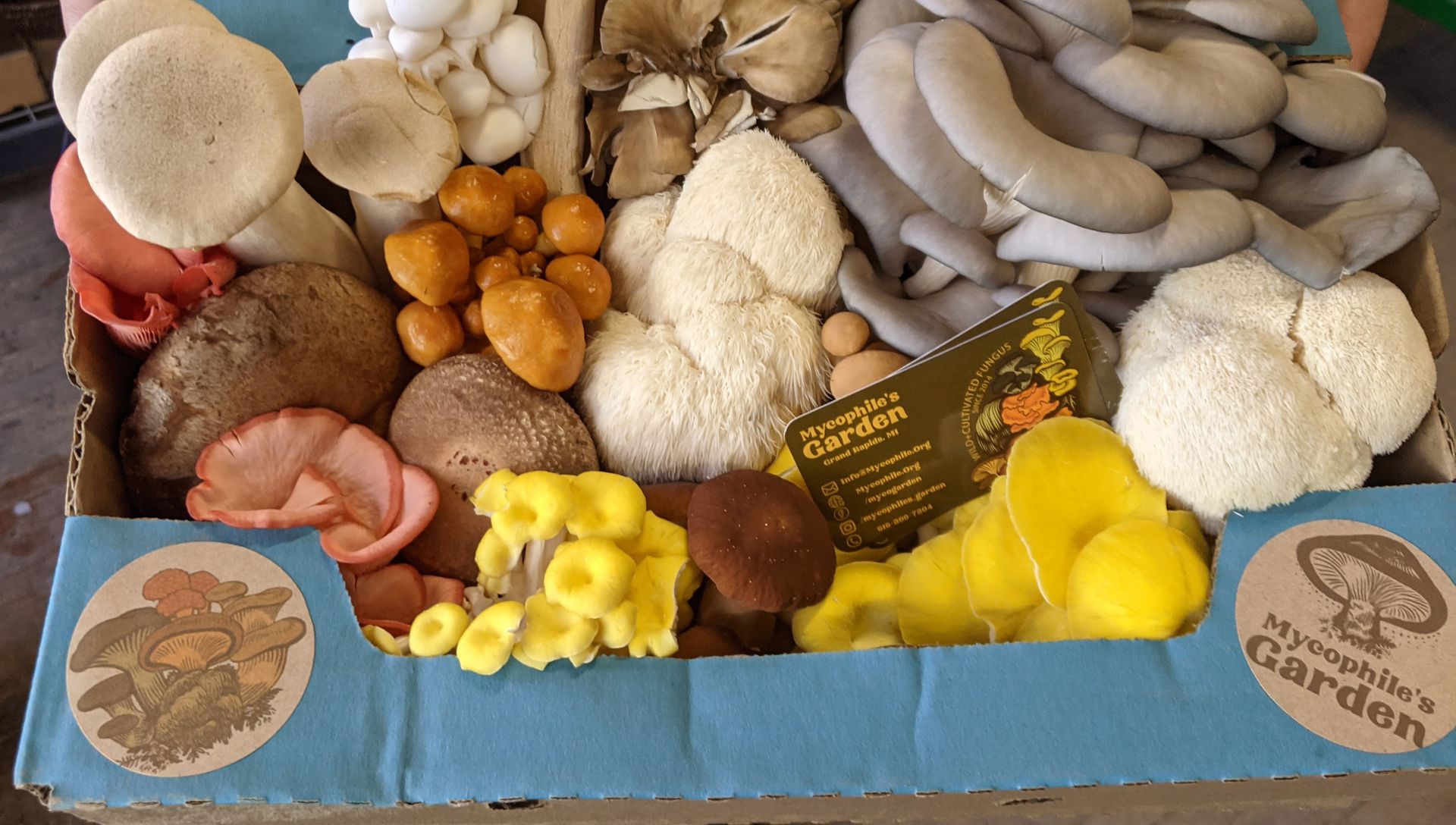 Introductory Cultivation Course | Mycophile's Garden